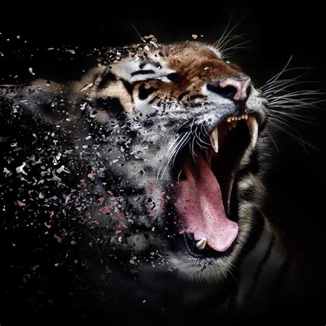 Diffusion Photoshop Action Cs3 Add Ons Graphicriver