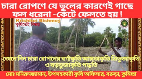 গাছ রোপনের সঠিক পদ্ধতি চারা রোপণের পর মরে যাওয়ার কারণ ও প্রতিকার Proper Method Of Planting