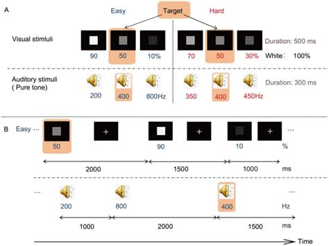 A Schematic Of The Range Of Visual And Auditory Stimuli A And An Download Scientific Diagram