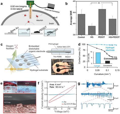 Hydrogel Neural Interfaces For Brain Signal Recordings A Schematics