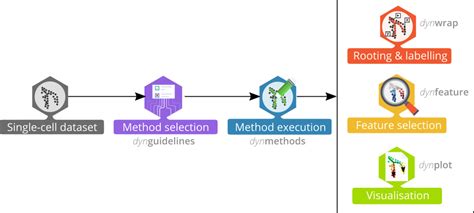 Github Mariafirulevatrajectoryinference Both Tutorial And Basic Pipeline For Scrna Seq