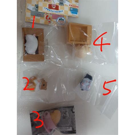 絕版 老鼠 倉鼠 扭蛋 轉蛋 盒玩 可愛 箱子倉鼠 箱子 杯子動物 黃金鼠 動物 蝦皮購物