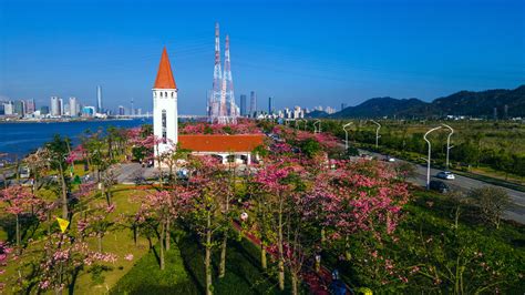 2020珠海横琴花海长廊摄影图片生活摄影 太平洋电脑网摄影部落