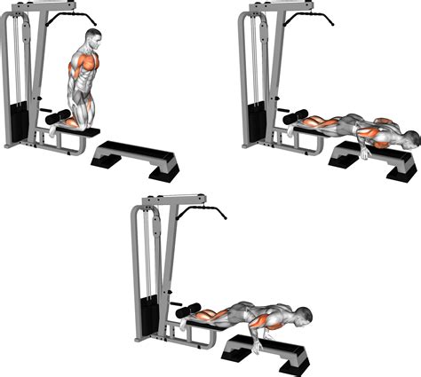 Inverse Leg Curls At Westside Barbell All Things Gym