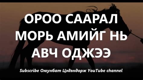 Ороо саарал морь амийг нь авч оджээ Болсон явдал Bolson Yavdal Хууч яриа Youtube