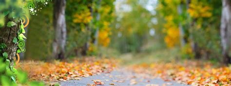 Creative Sheet 12x32 50 Spotless Pixels