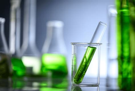 Microalgae Cultivation As Biostimulants In Agriculture