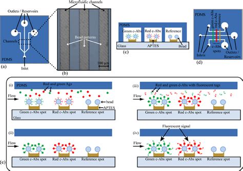 A Top Schematic View Of A Pdms Microfluidic Device With One Inlet And Download Scientific