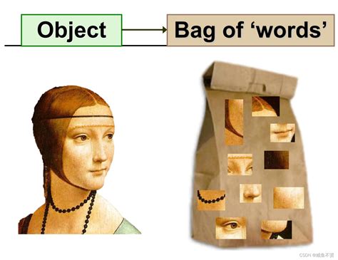 Python计算机视觉之基于bow的图像检索基于bow的图像检索算法python Csdn博客