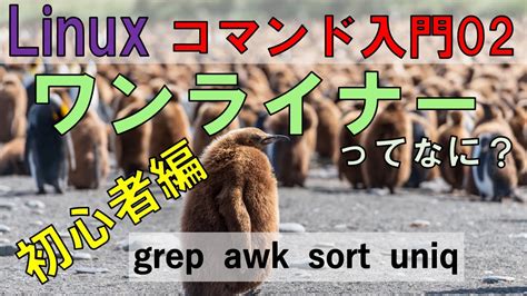 【linuxコマンドの基本02】一行で書くプログラム ワンライナー （この動画で解説してあるコマンド：grep sort uniq awk tee ps） youtube