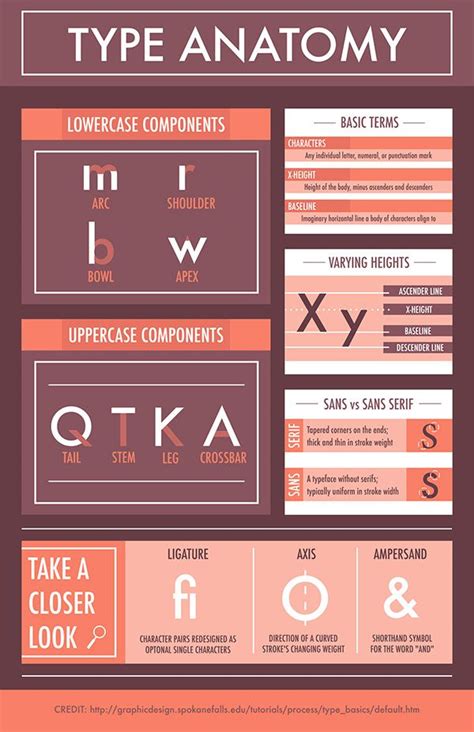 Gallery 68432549 Type Anatomy Infographic Anatomy Of Type Font Anatomy