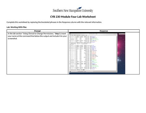 cyb 230 module four lab worksheet cyb 230 module four lab worksheet