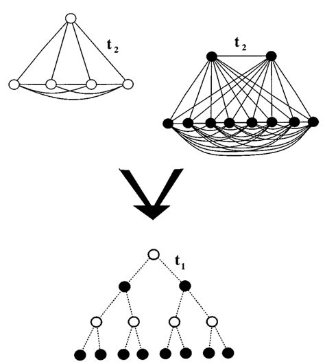 Schematic Construction Of The Two Sublattice Fully Frustrated Model Download Scientific Diagram