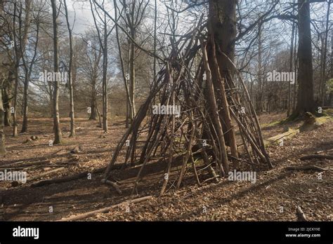 Secret Dwellings Twig Houses Exposed In The Winter As Their Outlines Can Be Seen As The Leaves