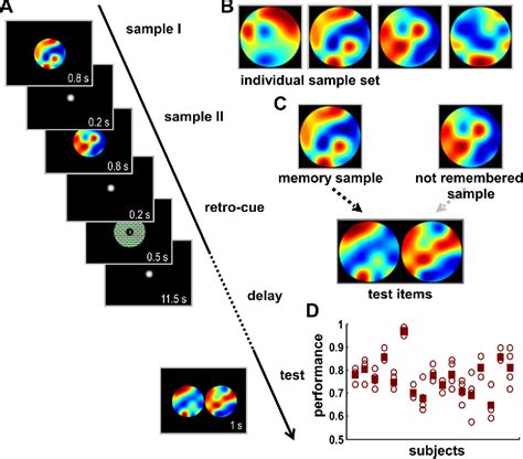 Figure 1 From Decoding The Contents Of Visual Short Term Memory From Human Visual And Parietal