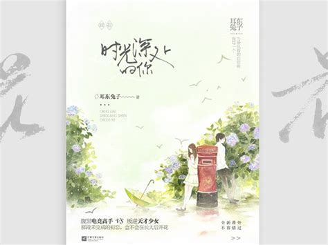 2018书封设计 花卷鸭 站酷ZCOOL