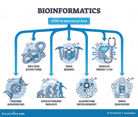 Bioinformatics As Study And Research Of Biological Data Outline Diagram Stock Vector