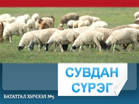 аян замын тэмдэглэл Ppt