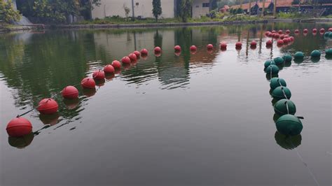 Pbl Object Detection Dataset And Pre Trained Model By Ppns