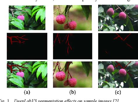 Figure 1 From Skip Connections Importance In Biomedical Image Segmentation Semantic Scholar