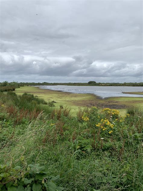 Great To See An A Review For The Lunt Meadows Lancashire Wildlife Trust Nature Reserve A