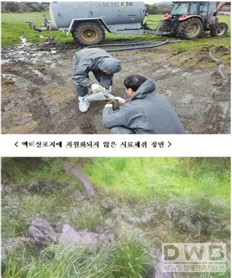 서귀포시 여름철 장마 등 대비 축산 악취 강력 대응 Dwbnews장애인복지뉴스