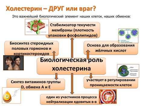 Чистка сосудов от холестерина