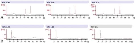 Representative Ultraviolet Visible Electropherogram Curves And Rna