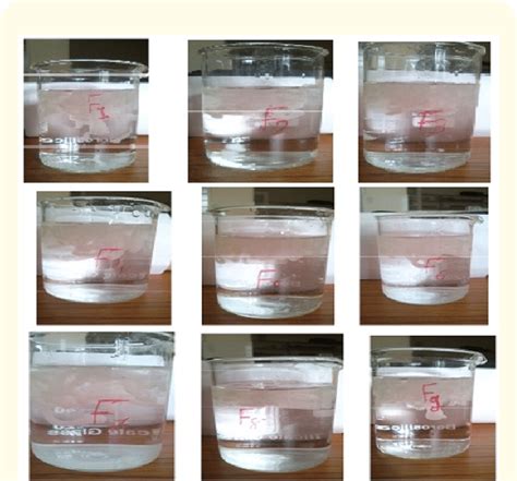 Physical Appearance Of Floating In Situ Gel Formulations F1 F9 In 0 1 M Download Scientific