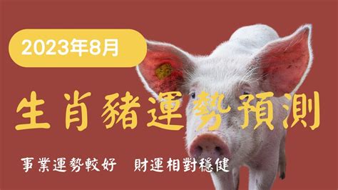 2023年8月生肖豬運勢分析 生肖猪 运势 生肖运势2023 YouTube