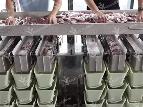 黄春燕 On Linkedin Meat Multihead Weigher China Multihead Weigher Manufacturer