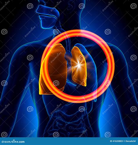 Pneumothorax Collapsed Lung Stock Illustration Illustration Of