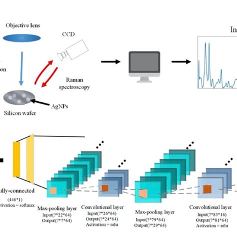 Schematic Illustration Of Convolutional Neural Network CNN Data Download Scientific Diagram
