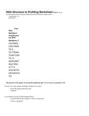 DNA Structure To Profiling Worksheet DNA Structure To Profiling Worksheet Name There Are Base