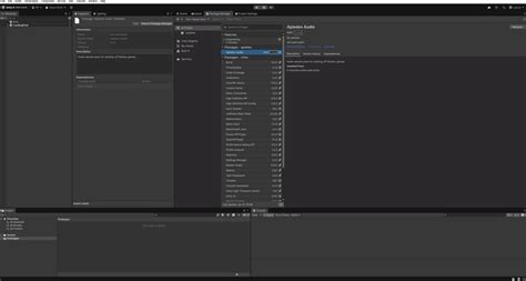 Local Packages Not Appearing When Added With Package Manager In 6000 0