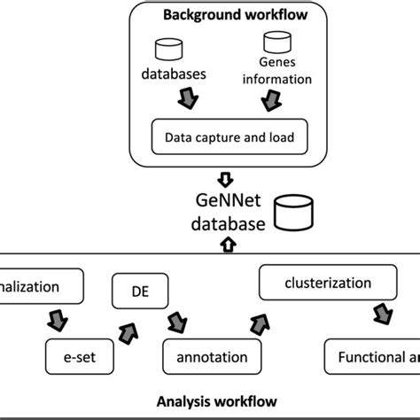 Workflow Scheme Represented By Two Stages Background Workflow In The