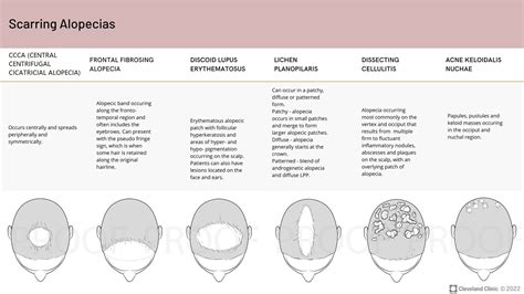 Approach To The Patient With Hair Loss Journal Of The American