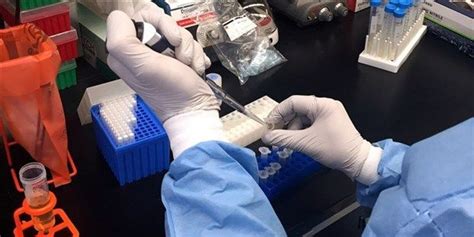 Dispute Within Cdc Over Zika Testing The Scientist