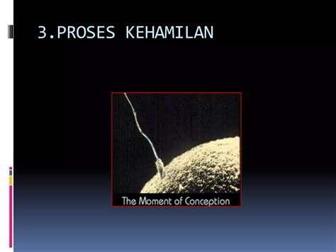 Biologi Ppt Nds Reproduksi2 PPT