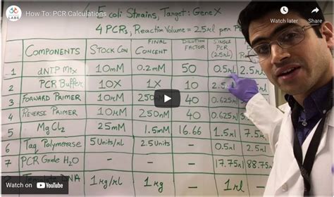How To Pcr Calculations Telescience By Seeding Labs