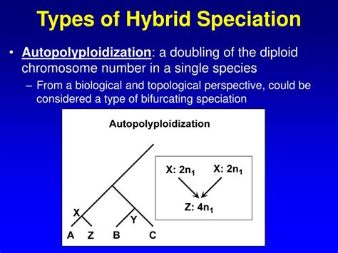 Ppt Network Reticulate Evolution Biology Models And Algorithms Powerpoint Presentation
