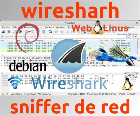 Instalar Python 3 11 1 En Debian 11 Y Derivados Weblinus