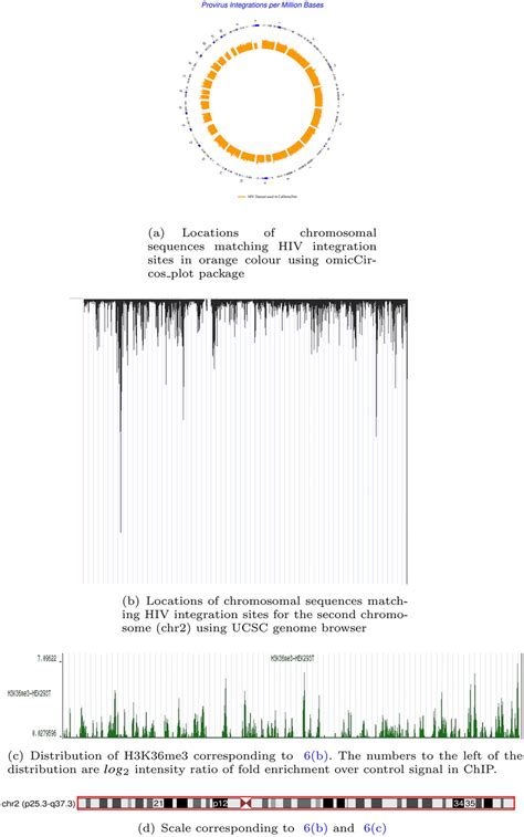 Distribution Of Sites Of Hiv Integration In The Human Genome Download