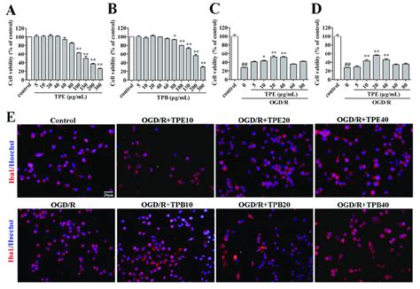 Effects Of Tpe And Tpb On Bv2 Microglial Cells Ab Cell Toxicities Download Scientific