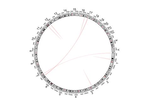R How Can I Solve This Error To Visualize The Gene Fusion Using The Circlize Package Stack
