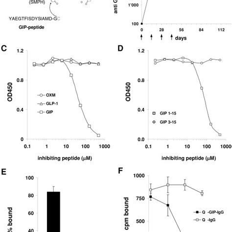 A Schematic Diagram Of Gip Peptide Coupling To Qβ Vlps Gip Peptides Download Scientific