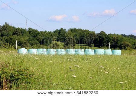 Row Hay Bales Wrapped Image And Photo Free Trial Bigstock