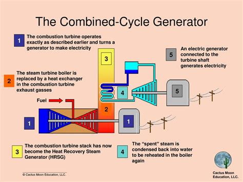 Cactus Moon Education Llc Ppt Download