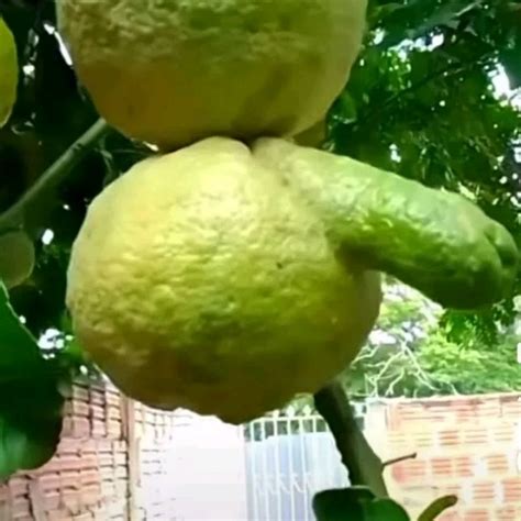 Mithun Sarker Youtube