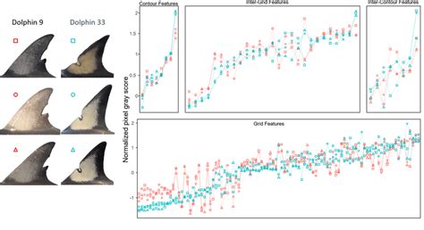 Line Plot Presenting Multivariate Feature Vectors Of Six Different Download Scientific Diagram